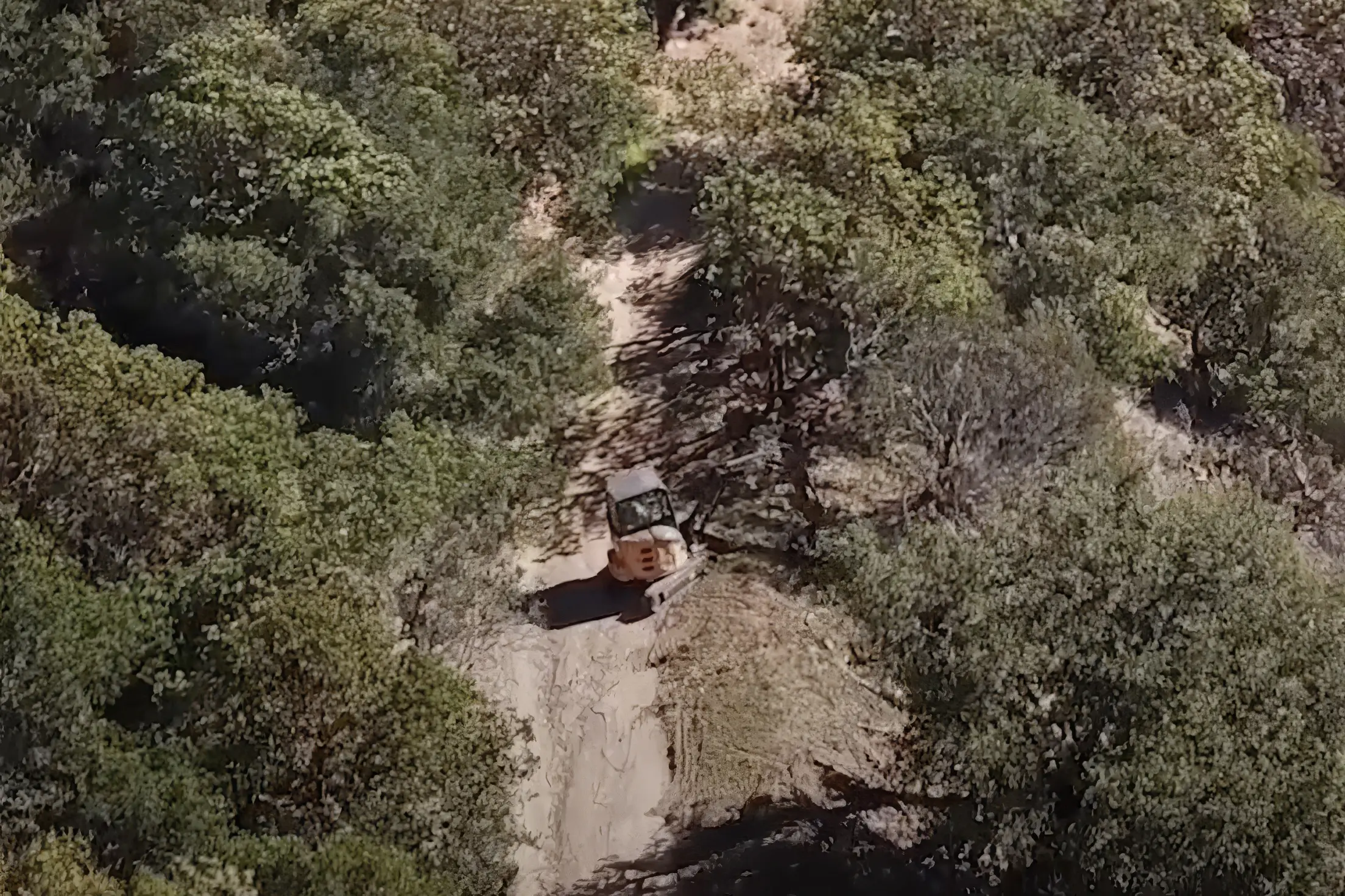 Shaded Fuel Breaks - Fire Safe Marin